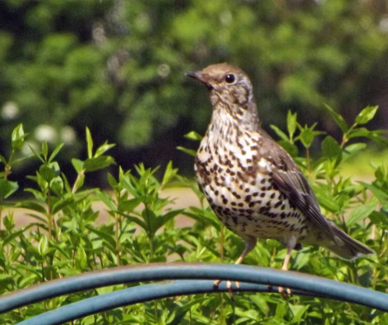 On Our Doorstep: Things to Do in Carnforth | Old Hall Caravan Park